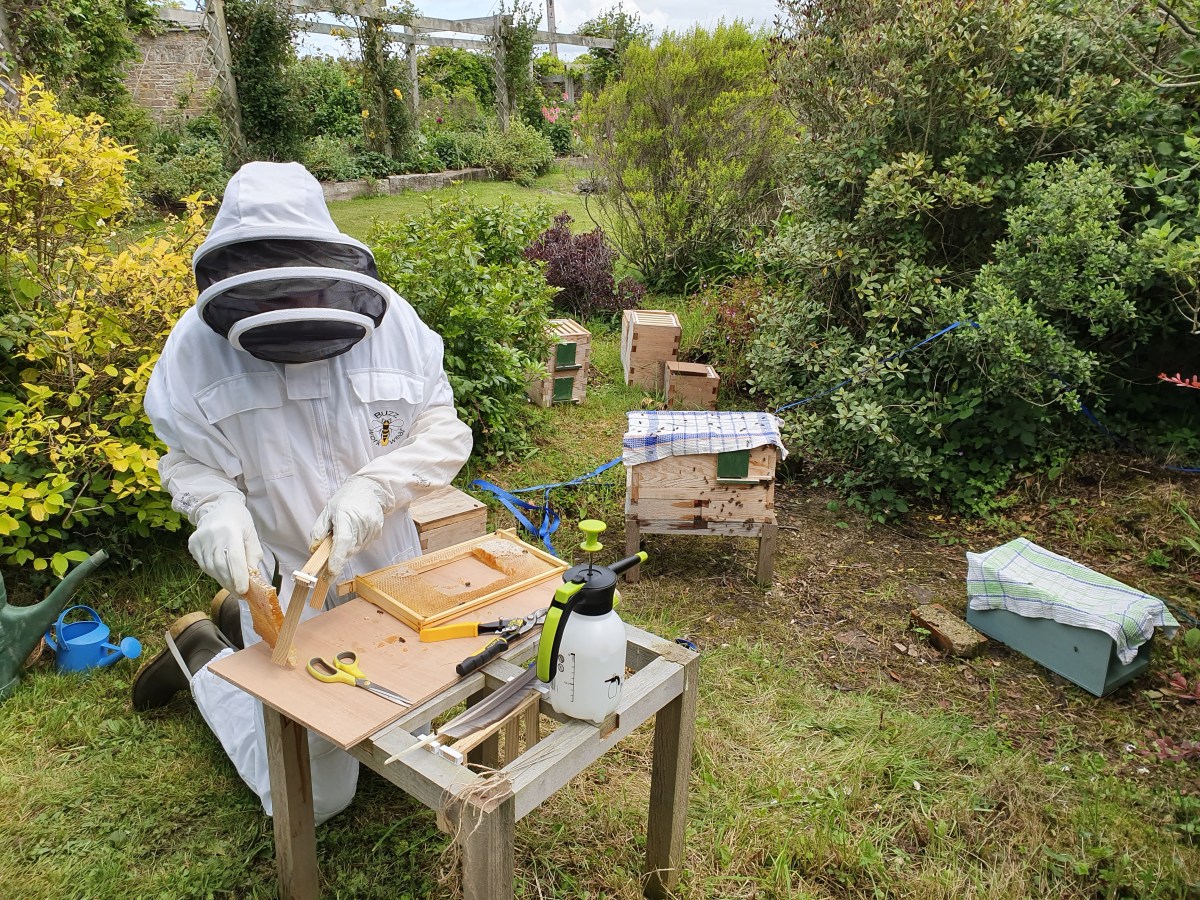 Saturday’s Garden – New Bees in our second hive #bees #beekeeping # ...